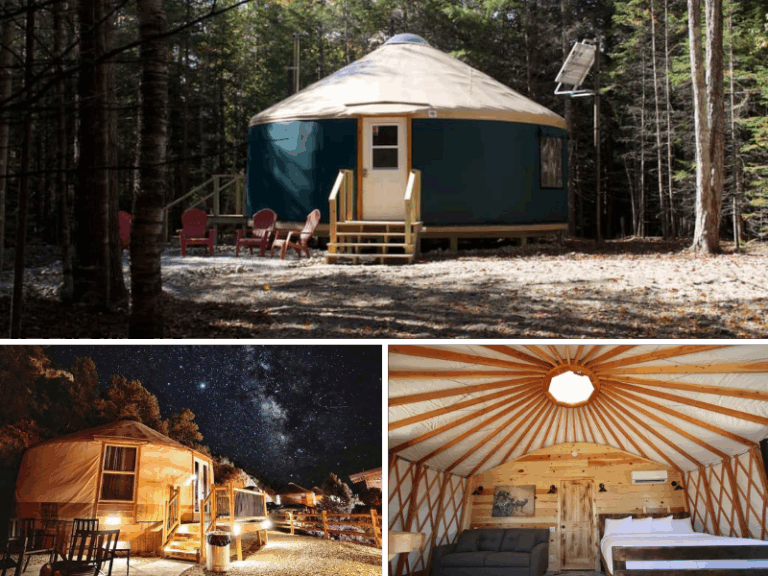 What Is A Yurt? Learn Yurt Information From the Experts!